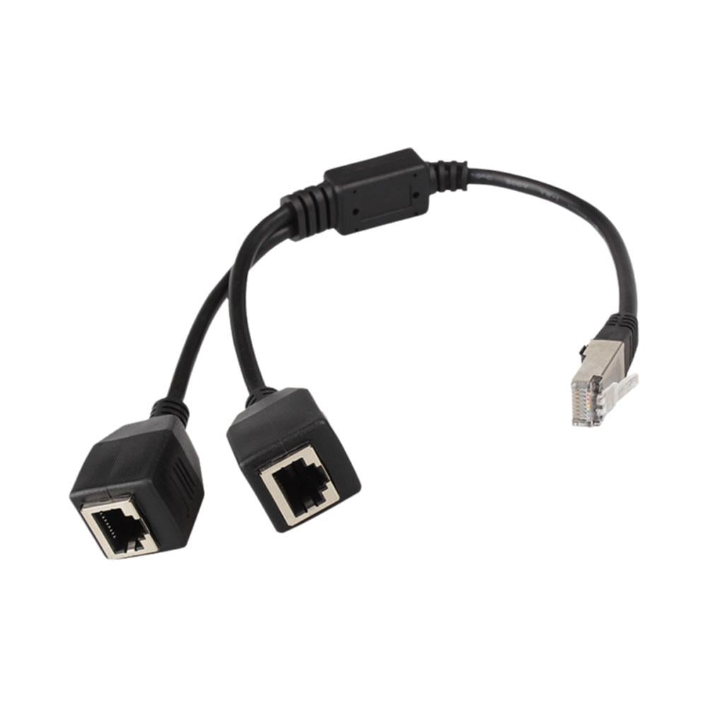 Network Port A Two-wire Network Cable Network Port 1/2, Ethernet Cable ...