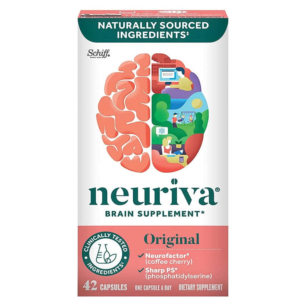 Neuriva Brain Performance Support Supplement, Original Complex, 42 ...