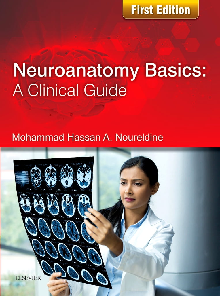 Neuroanatomy Basics: A Clinical Guide - Walmart.com