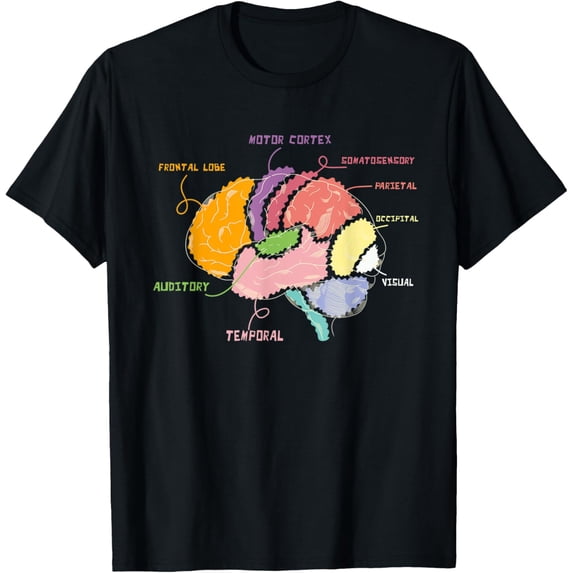 Neurology | Brain Map | Parts Of The Brain Anatomy T-Shirt - Walmart.com