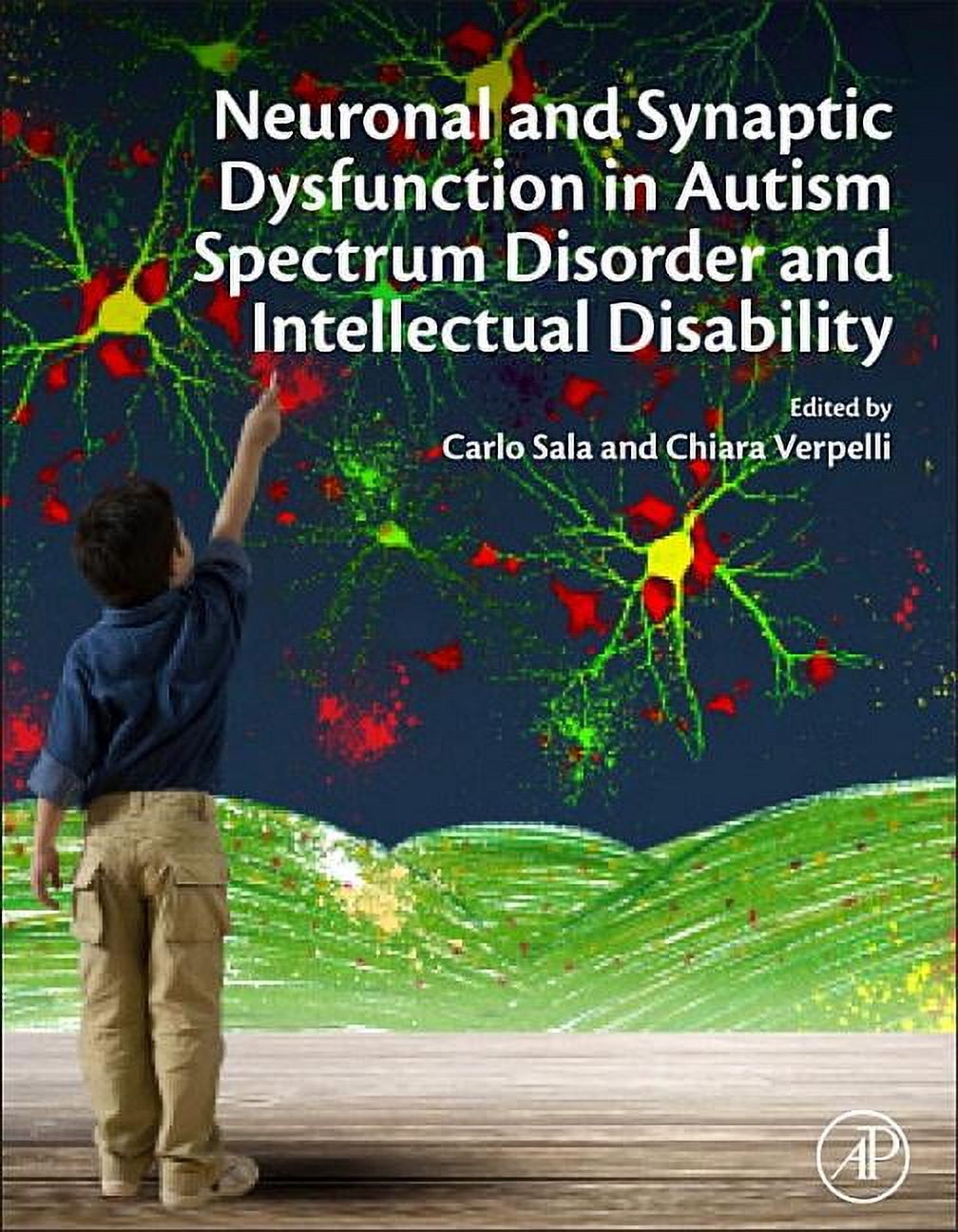 Neuronal and Synaptic Dysfunction in Autism Spectrum Disorder and ...