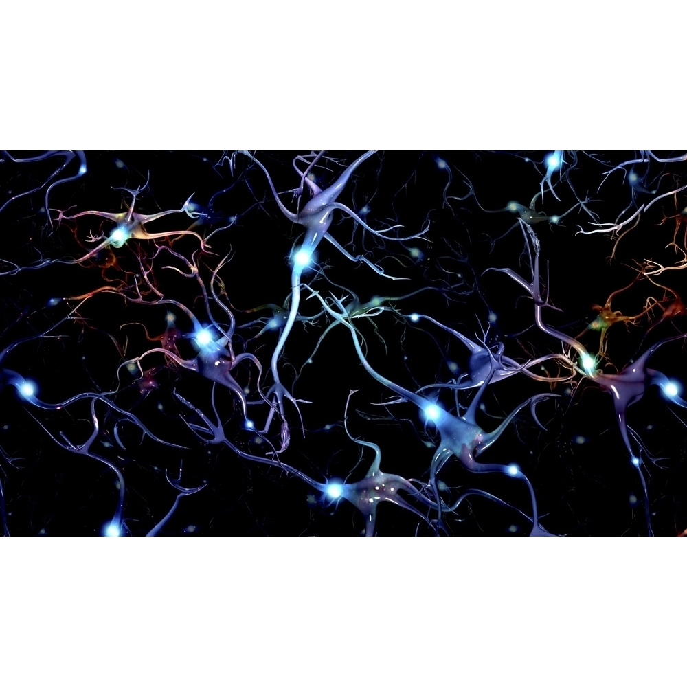 Neurons brain cells with electrical firing Poster Print by Bruce Rolff ...