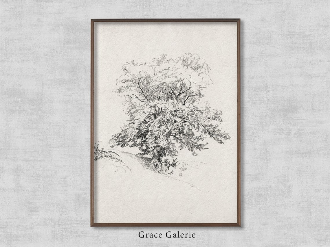 Neutral Antique Chestnut Tree Drawing, Vintage Sketch Art, Soft Deco ...