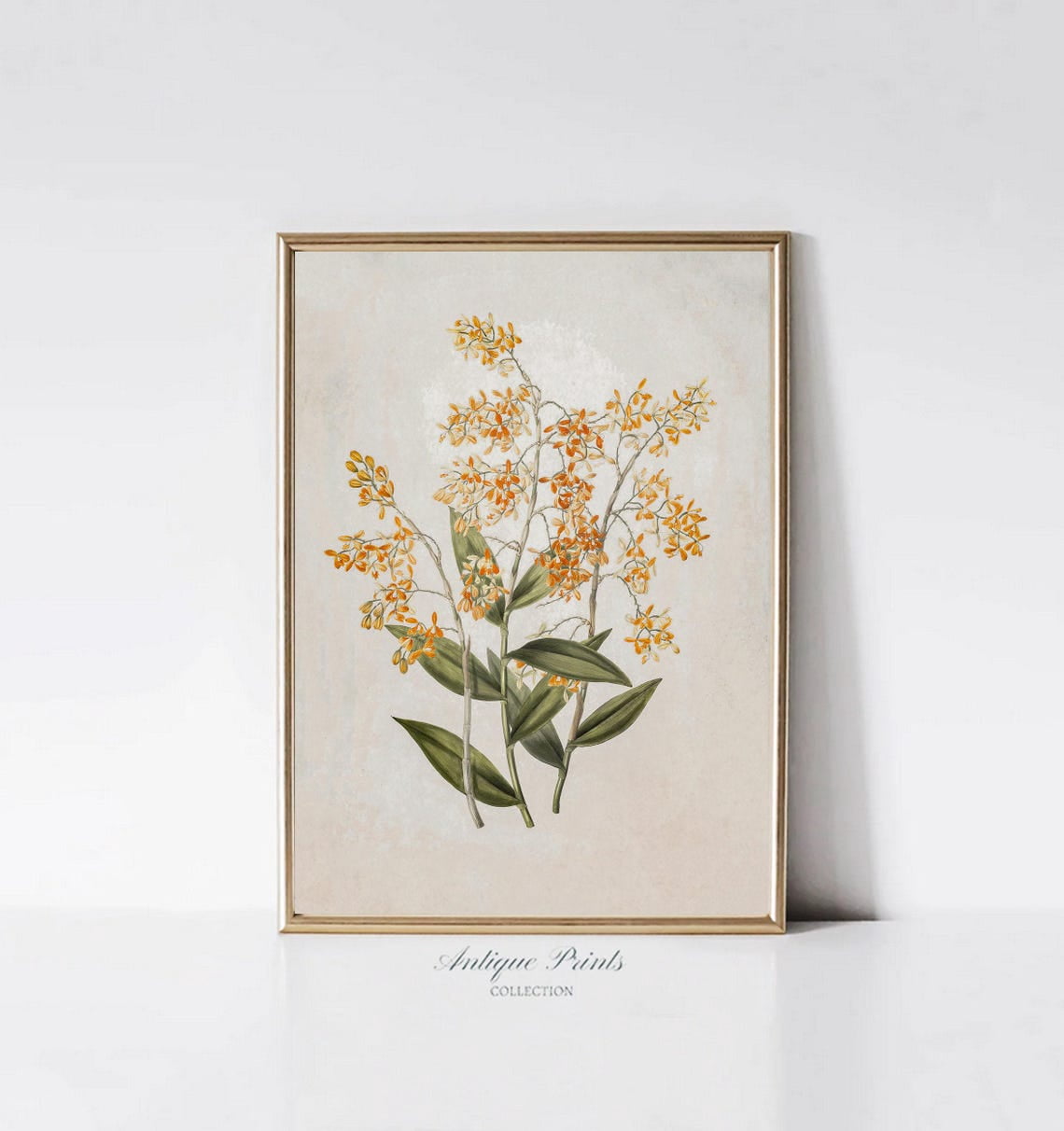 Neutral Branch Drawing, Vintage Botanical Wall Art, Antique Flowers ...
