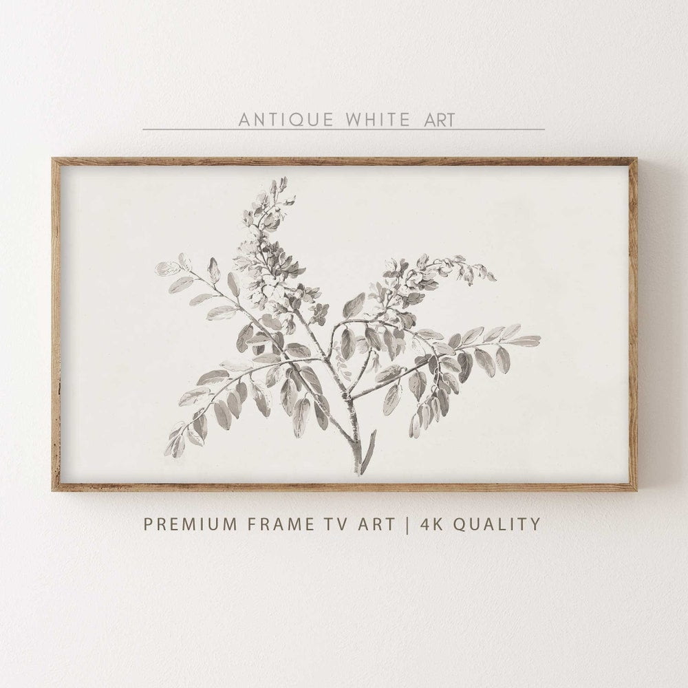 Neutral Flower Sketch Art Autumn Flower Painting Vintage Sketch Warm ...