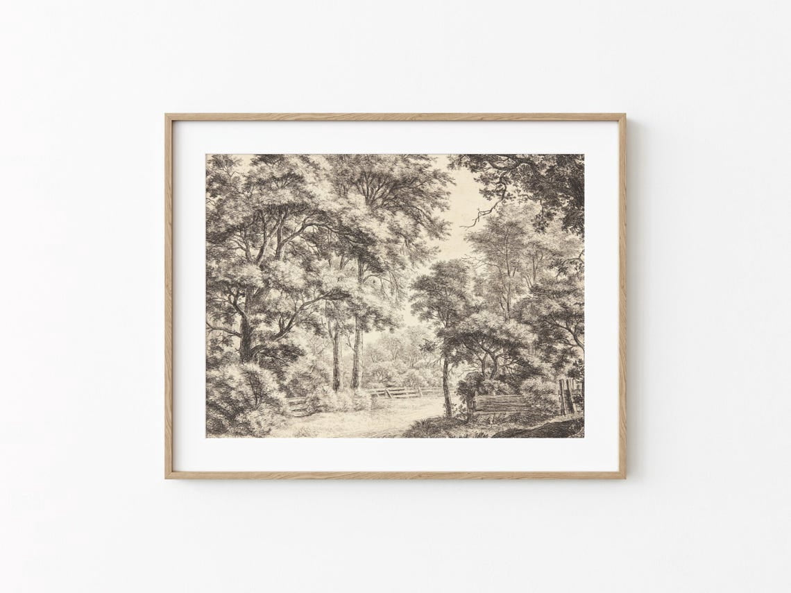 Neutral Forest Drawing Printable Antique Trees Etching Woodland Sketch ...