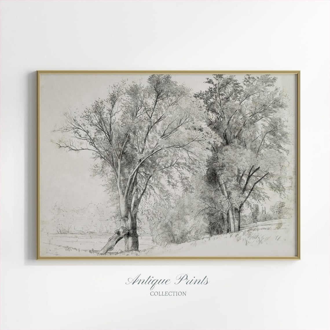 Neutral Forest Sketch Art, Vintage Landscape Drawing, Antique Nature ...