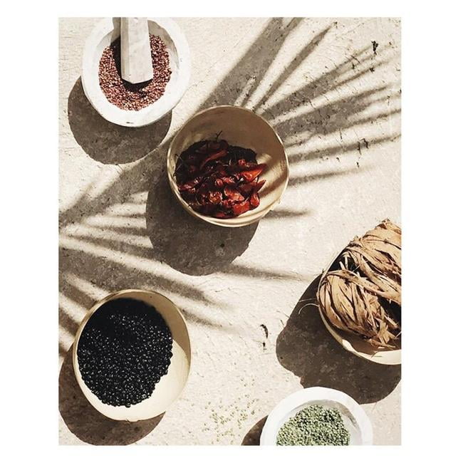 Neutral Spice Photo by Veronica Olson Printed on Tempered Glass Art ...