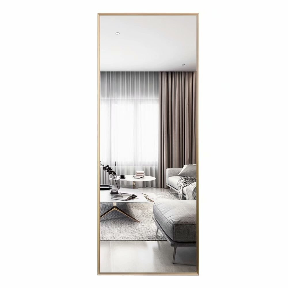 Neutypechic Modern Aluminum Alloy Thin Framed Full Length Floor Mirror ...