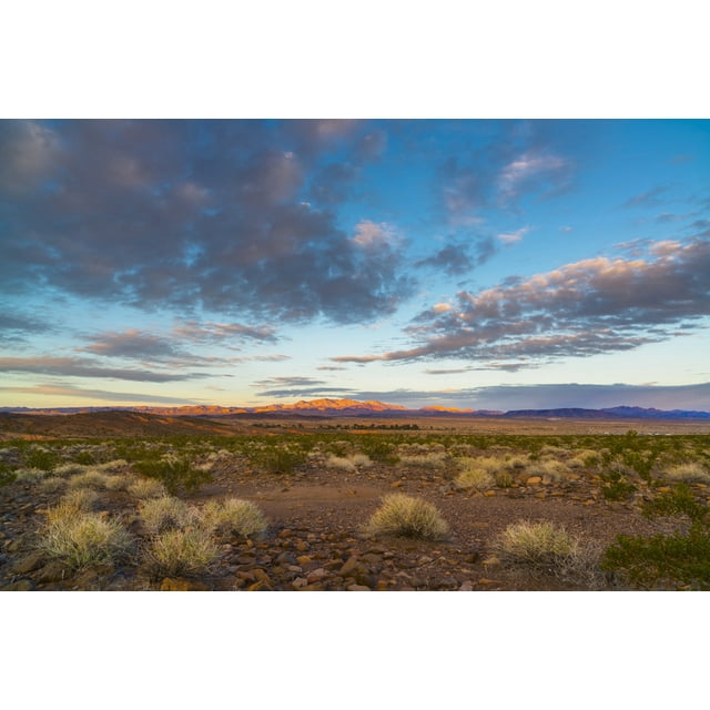 Nevada Desert Nature Landscape Cloudy Sky Photo Cool Wall Art Print ...
