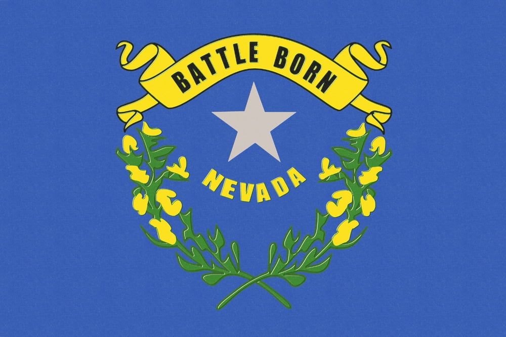 Nevada State Flag, Letterpress (12x18 Wall Art Poster, Room Decor ...