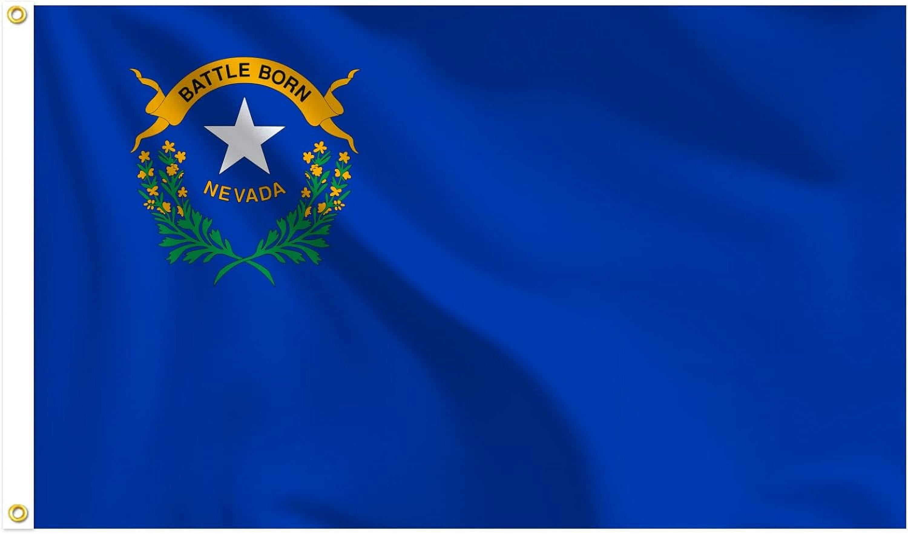 Nevada State Flag Outdoor, Double Sided Nevada Flags Heavy Duty, NV ...