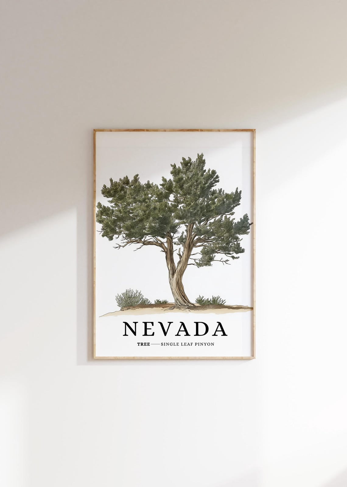 Nevada State Tree Poster: Single-Leaf Pinyon, Minimalist Botanical Art ...
