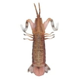 NeveLance Mantis Shrimp Model Solid Vivid Simulation Shrimp Model for ...