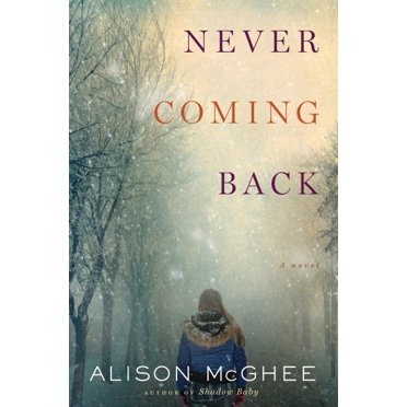 The Alchemist by Paulo Coelho - Walmart.com