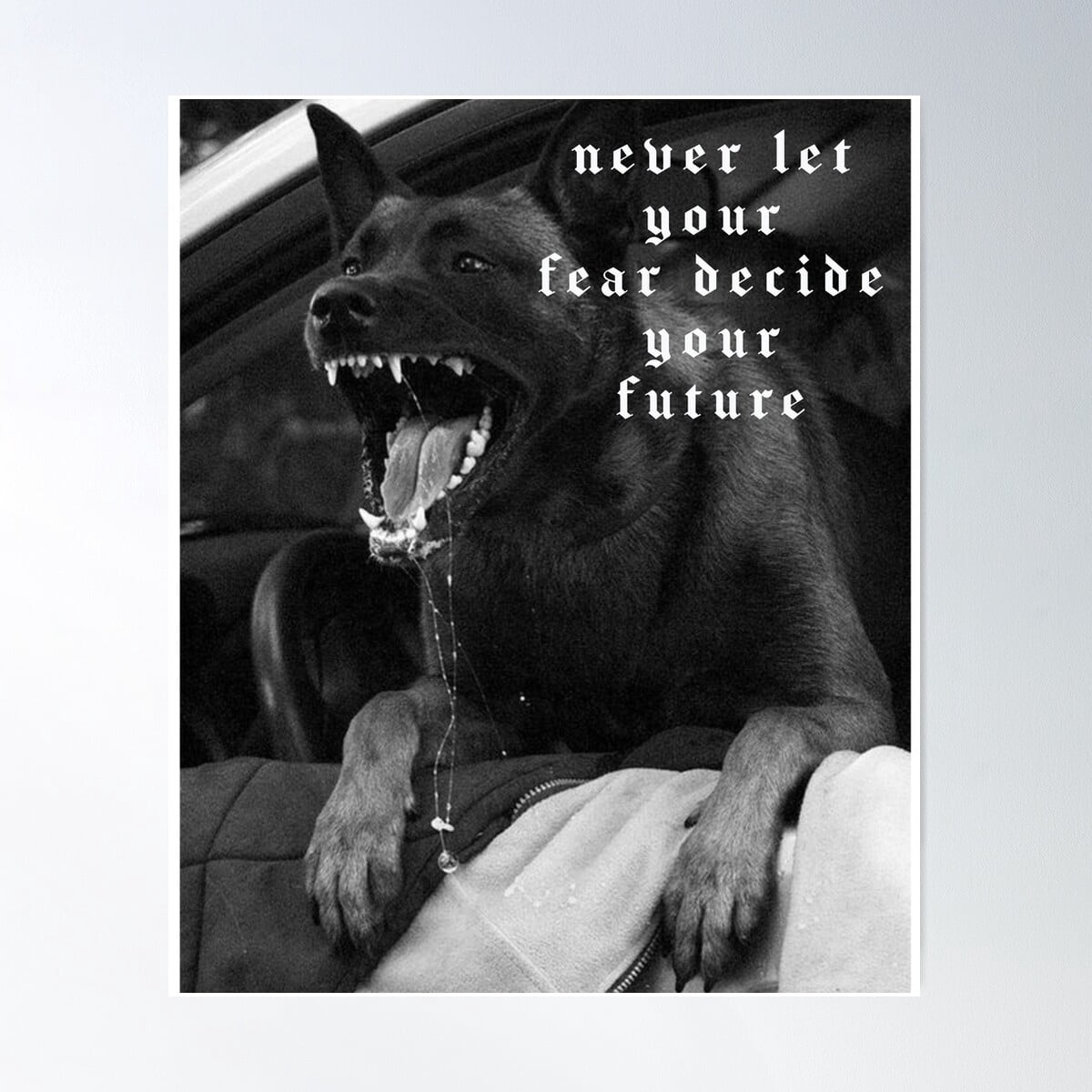 Never Let Your Fear Decide Your Future - Inspirational Mood Poster Wall ...