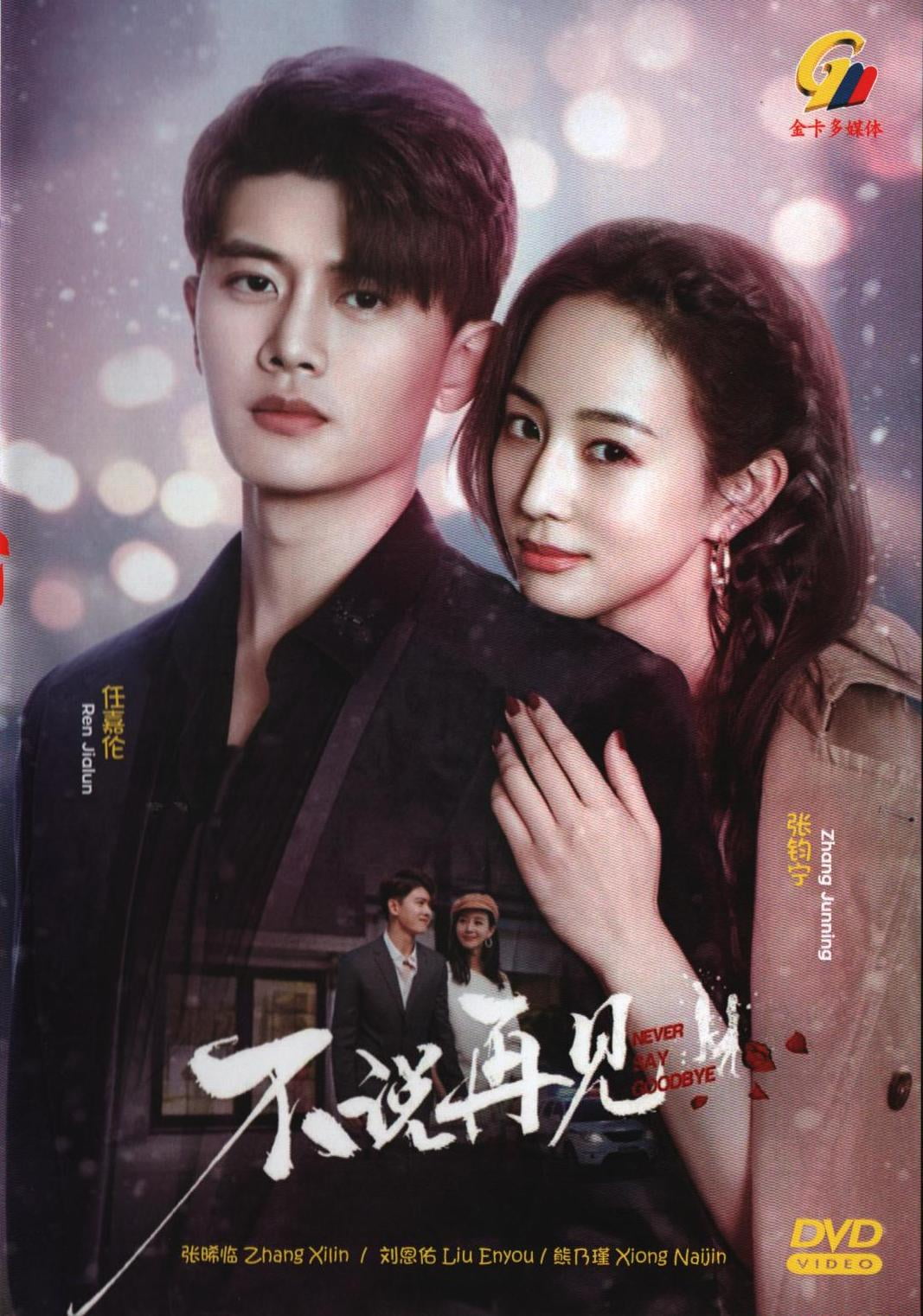 Never Say Goodbye Chinese Drama DVD - TV Series with English Subtitles ...