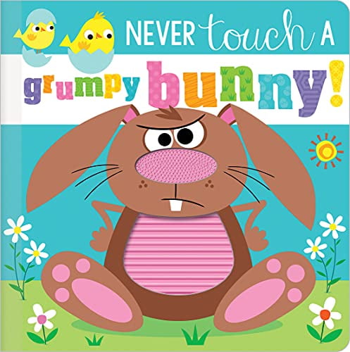 Pre-Owned Never Touch a Grumpy Bunny! (Board book) 1800582684 9781800582682 - Walmart.com