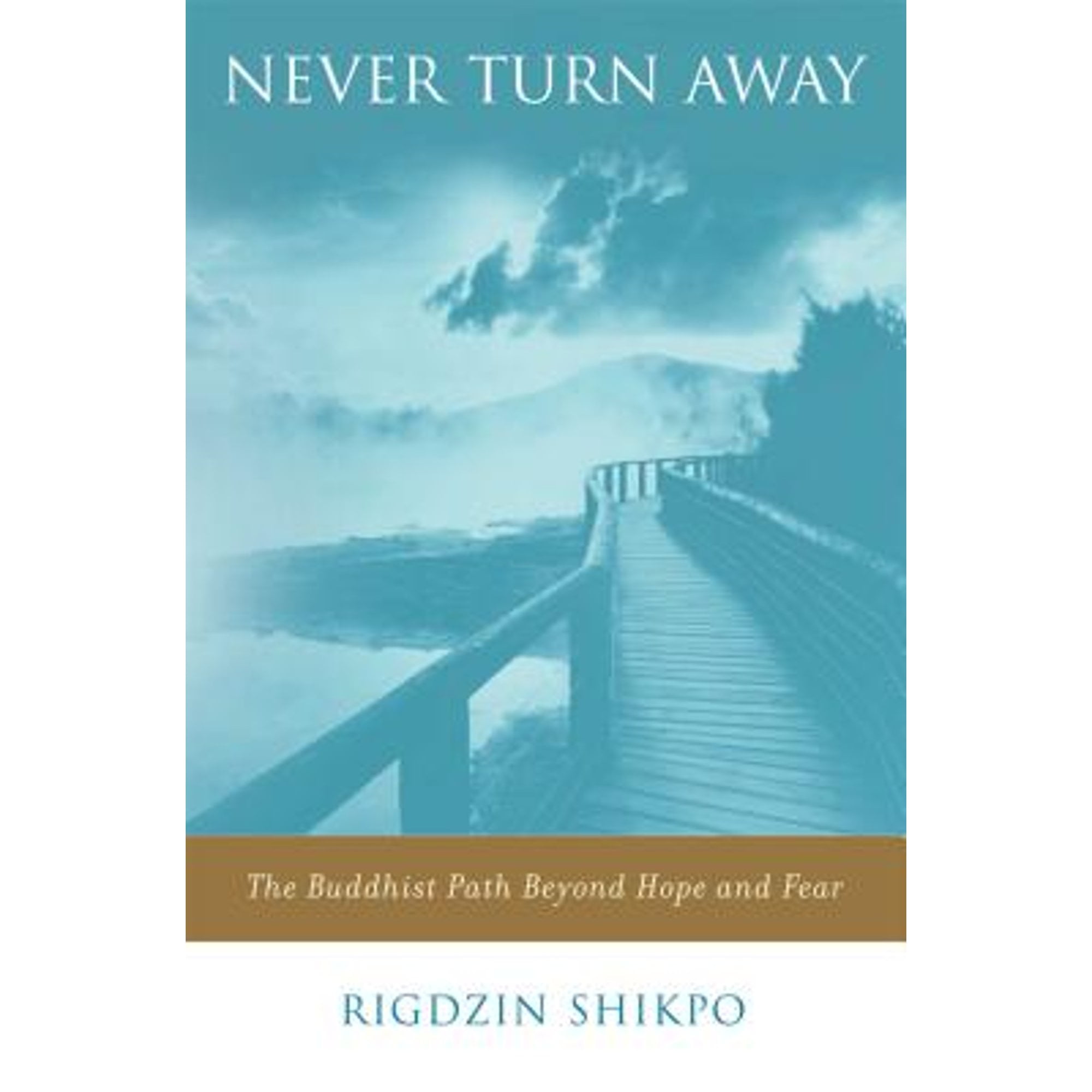 Pre-Owned Never Turn Away: The Buddhist Path Beyond Hope and Fear ...