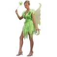 Neverland Fairy Adult Halloween Costume