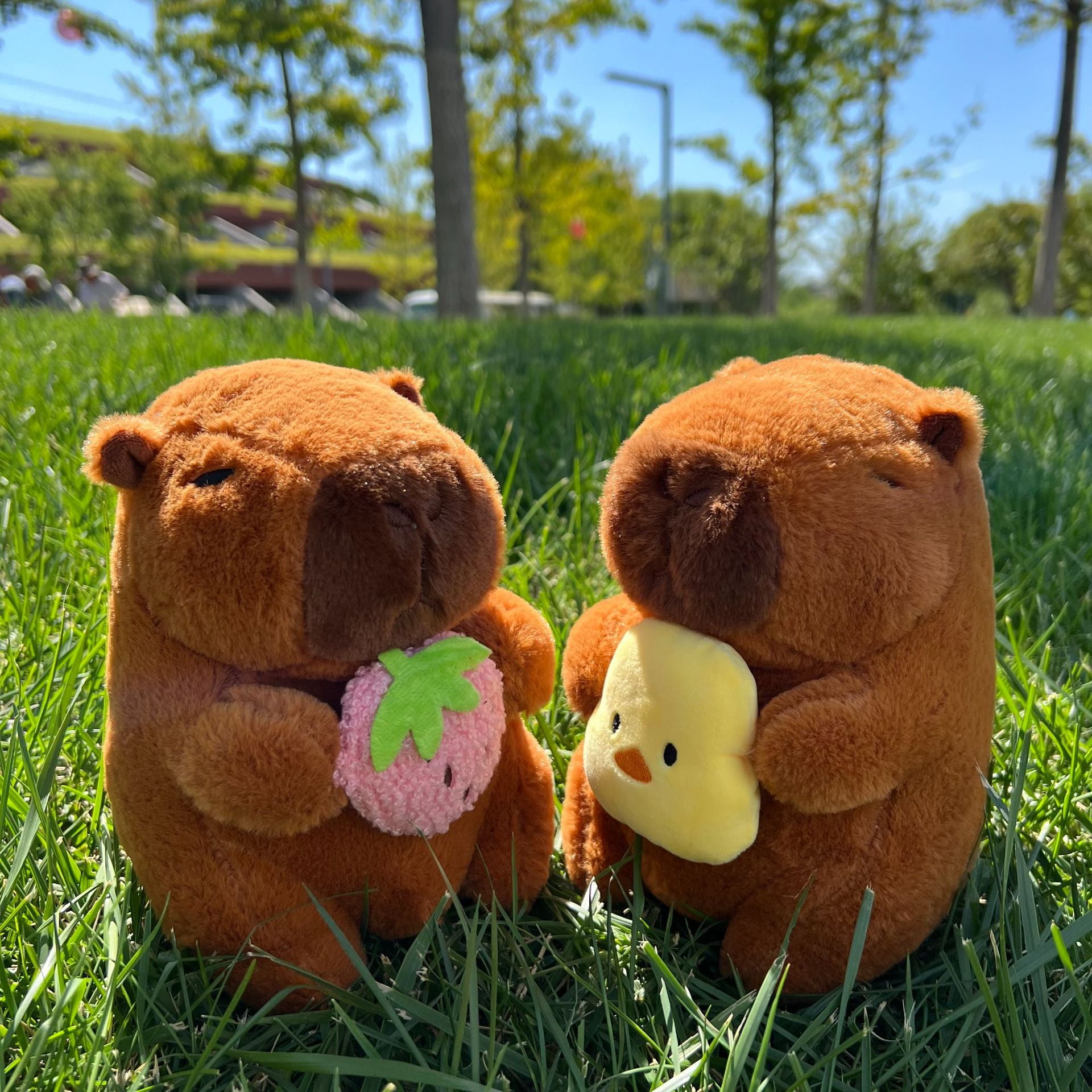 New 21cm Capybara Plush Toy Simulation Capibara Anime Fluffty Toy Cute ...