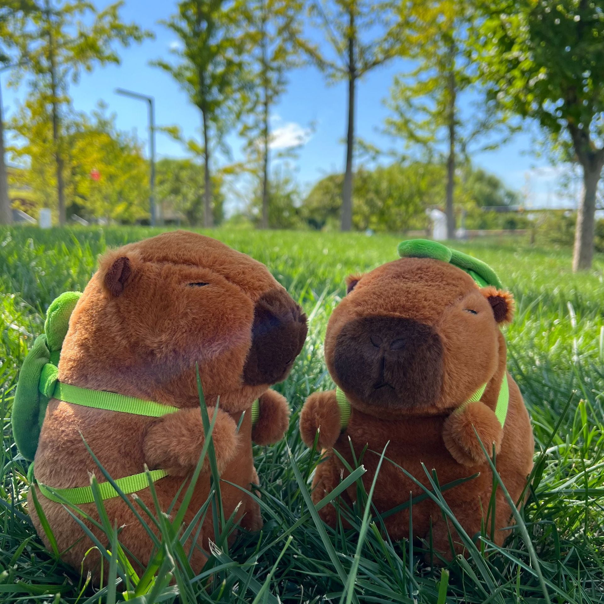 New 21cm Capybara Plush Toy Simulation Capibara Anime Fluffty Toy Cute ...