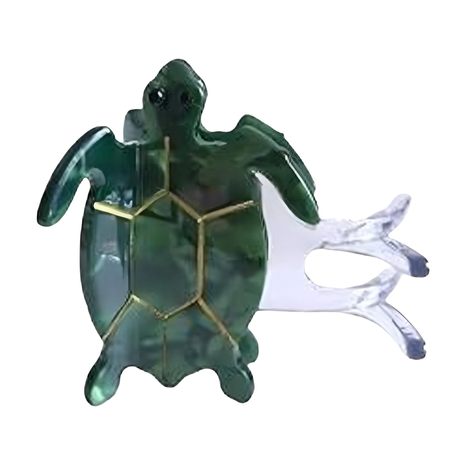 New Arrival! Kaonry Green Sea Turtle Claw， Interesting Turtle Hair ...