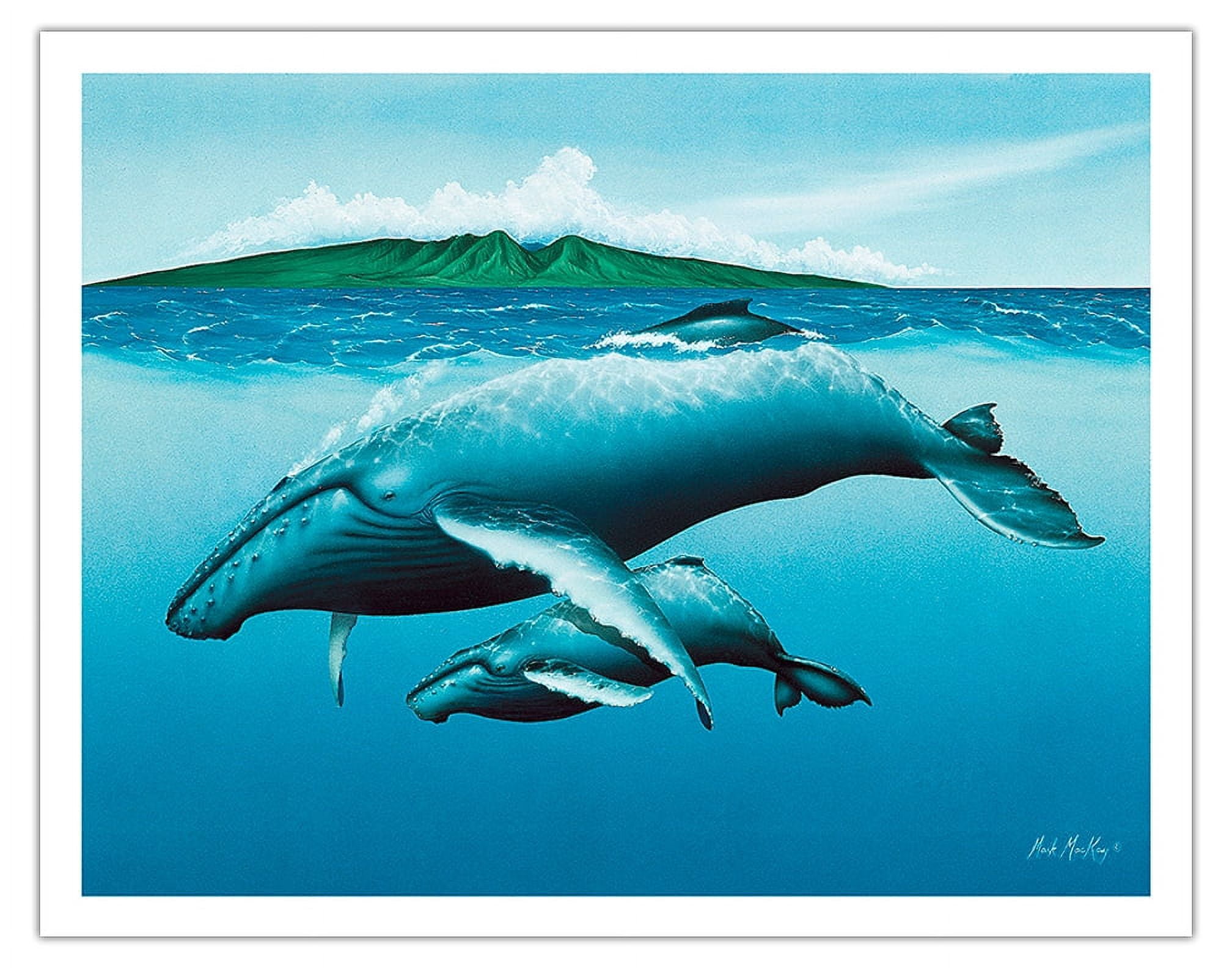 New Birth - Hawaiian Humpback Whales (Koholā) - Mother and her Calf ...