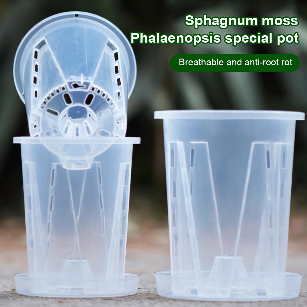 New Caliber 10cm With Tray New Phalaenopsis Special Flower Pot ...