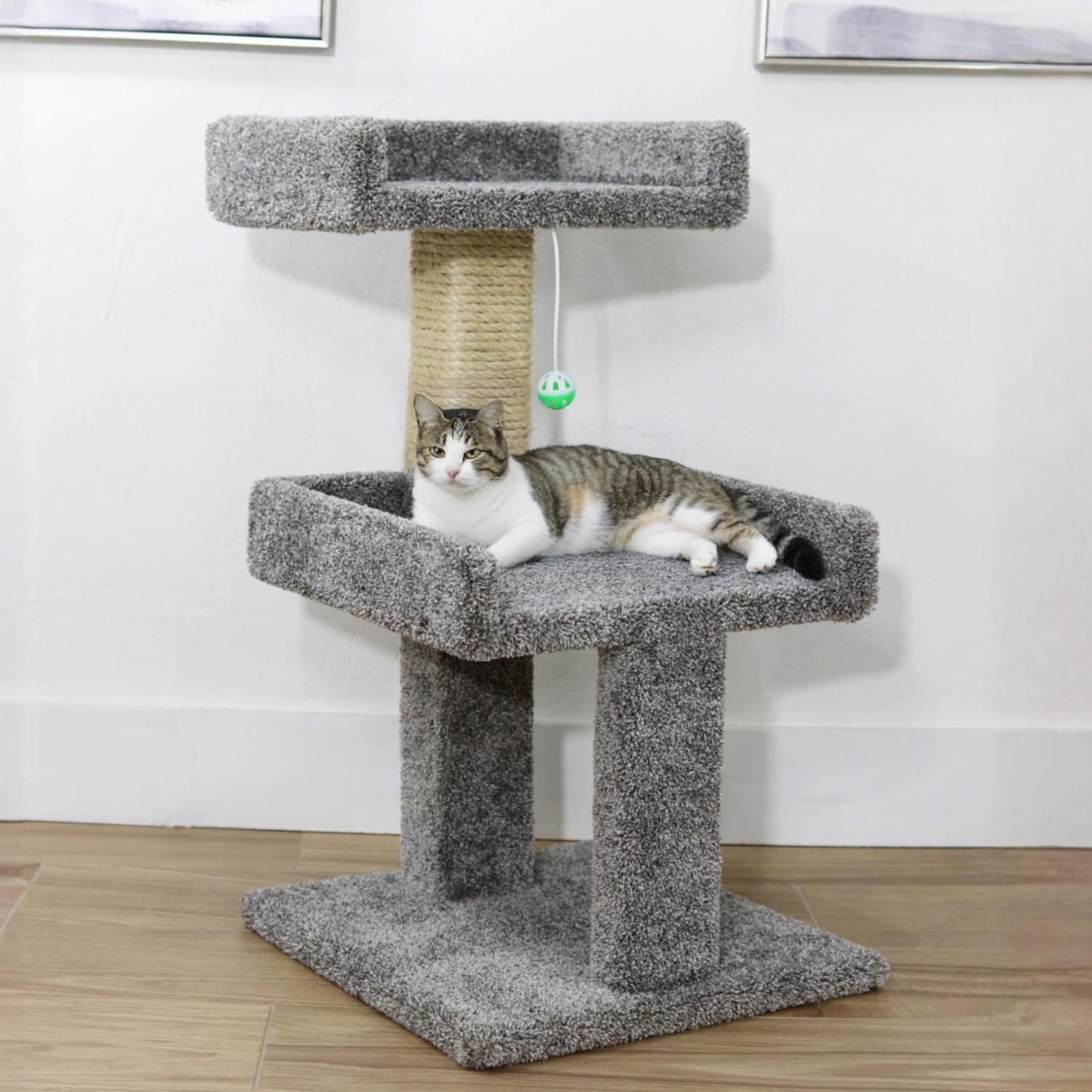 New Cat Condos Cat Perch for Large Cats - Condo Style, Sturdy ...