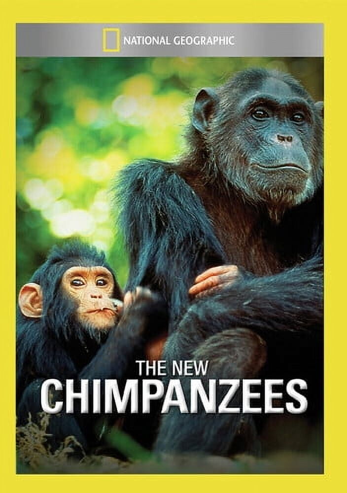 New Chimpanzees (DVD), National Geographic, Documentary - Walmart.com