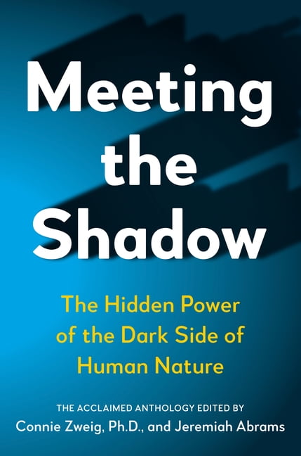 New Consciousness Reader Meeting the Shadow: The Hidden Power of the ...