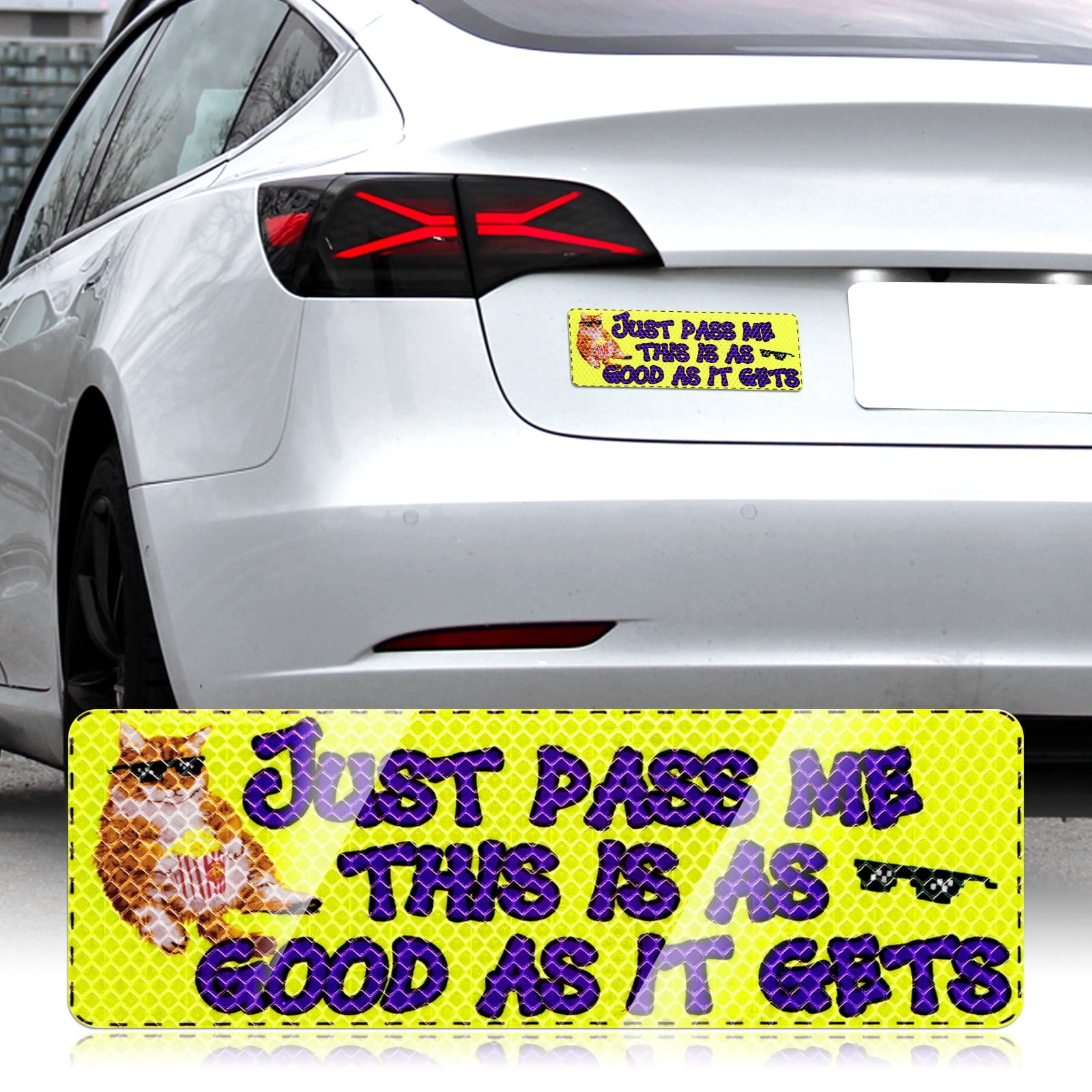 New Driver Alert Cat Magnetic Sticker Reusable Safety Sign 9.29 x 3.05 ...