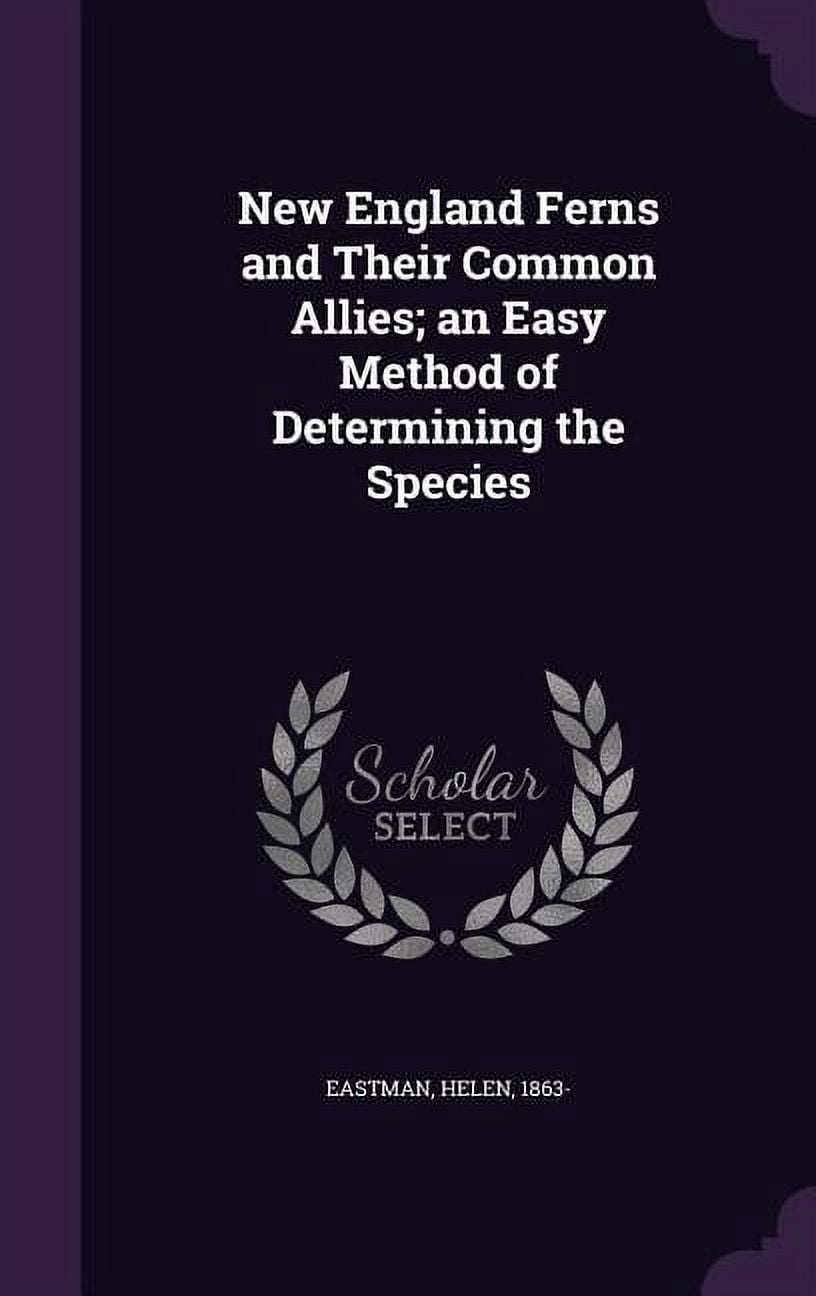 New England Ferns and Their Common Allies; an Easy Method of ...