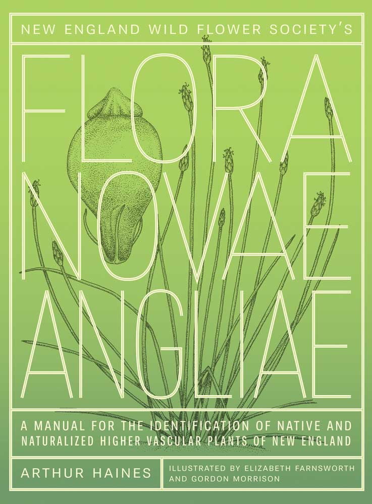 New England Wild Flower Society's Flora Novae Angliae : A Manual for ...