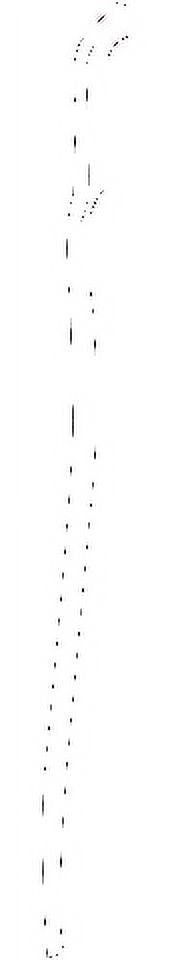 New Genuine BMW Gasket Door Joint A Column (2009-2015) OE 51767177935 ...