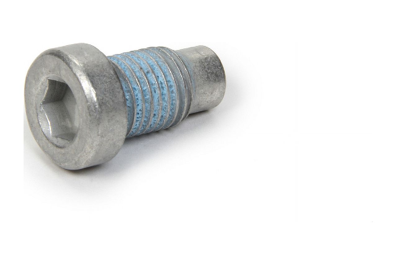 New Genuine GM Cylinder Head Coolant Plug OE 11610259 - Walmart.com