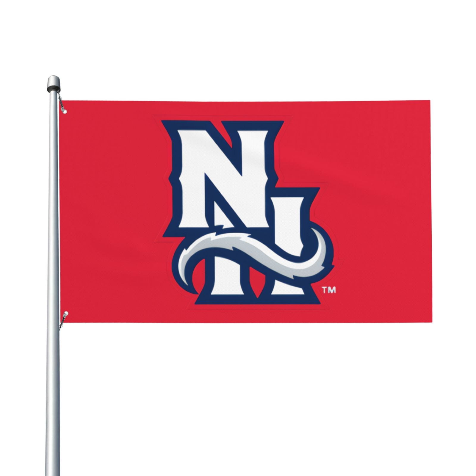 New Hampshire Fisher Cats 3x5ft Outdoor Decorative Flag - Polyesters ...