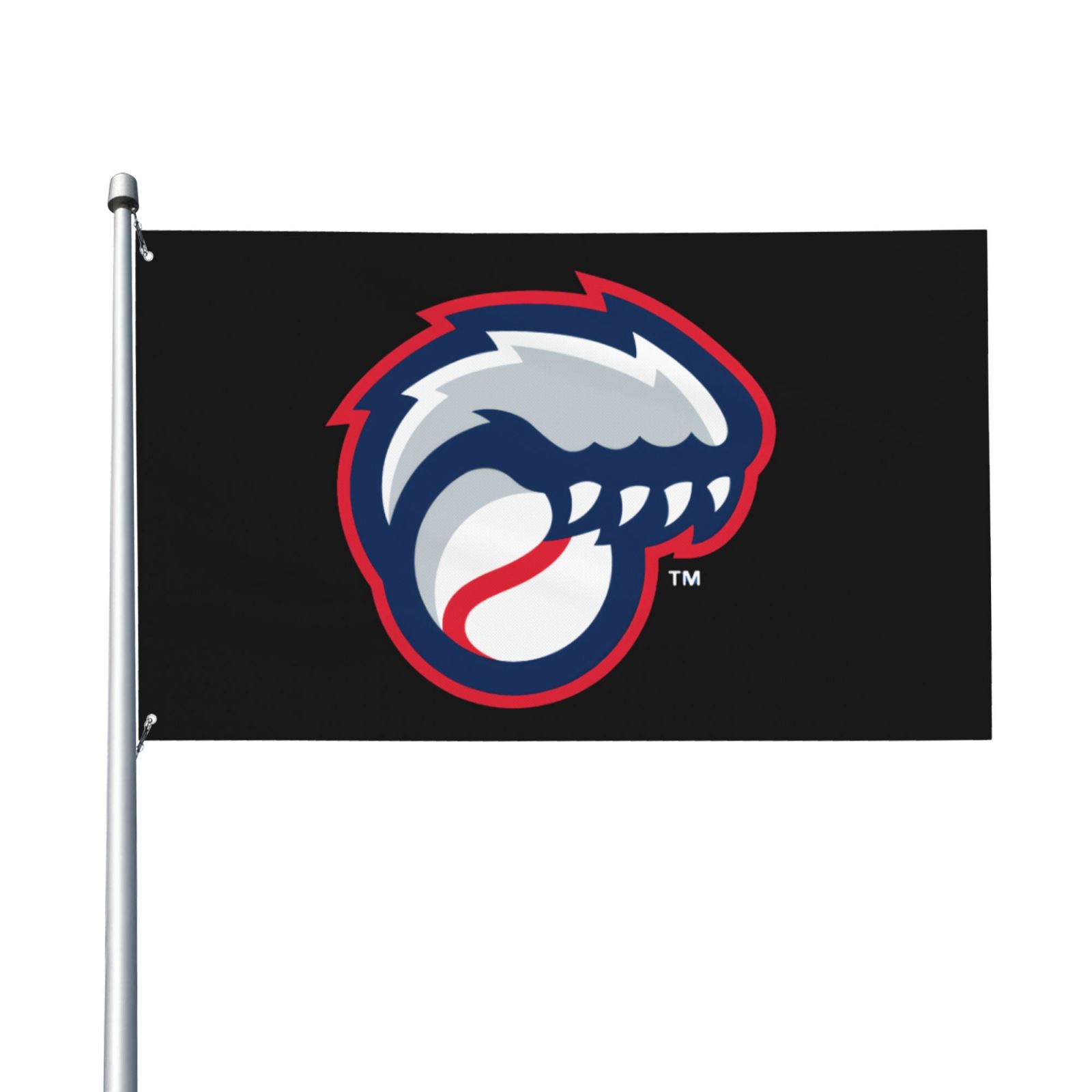 New Hampshire Fisher Cats Flag 3x5 Outdoor ,Sewn Stripes, Stronger ...