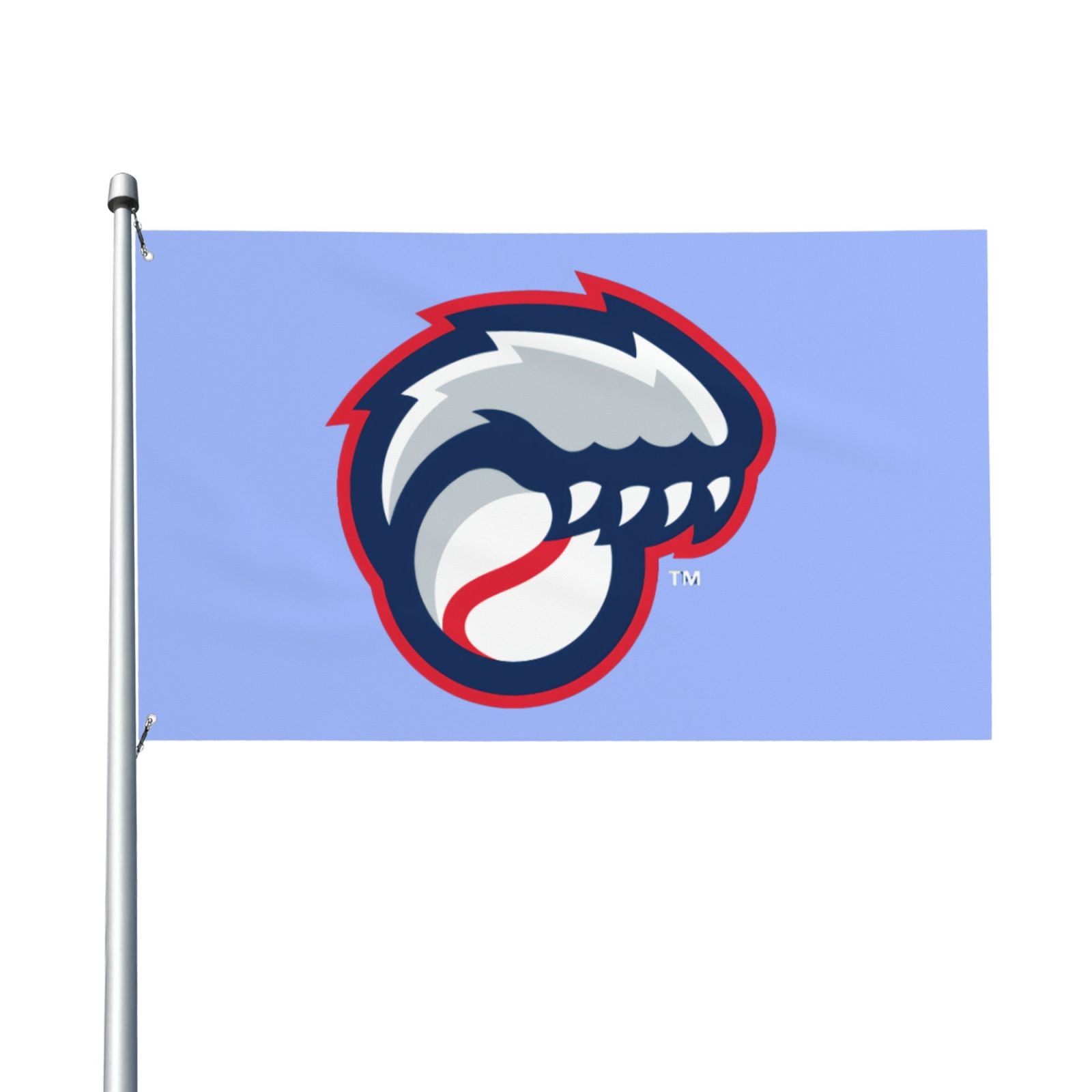 New Hampshire Fisher Cats Flag 3x5 Outdoor ,Sewn Stripes, Stronger ...