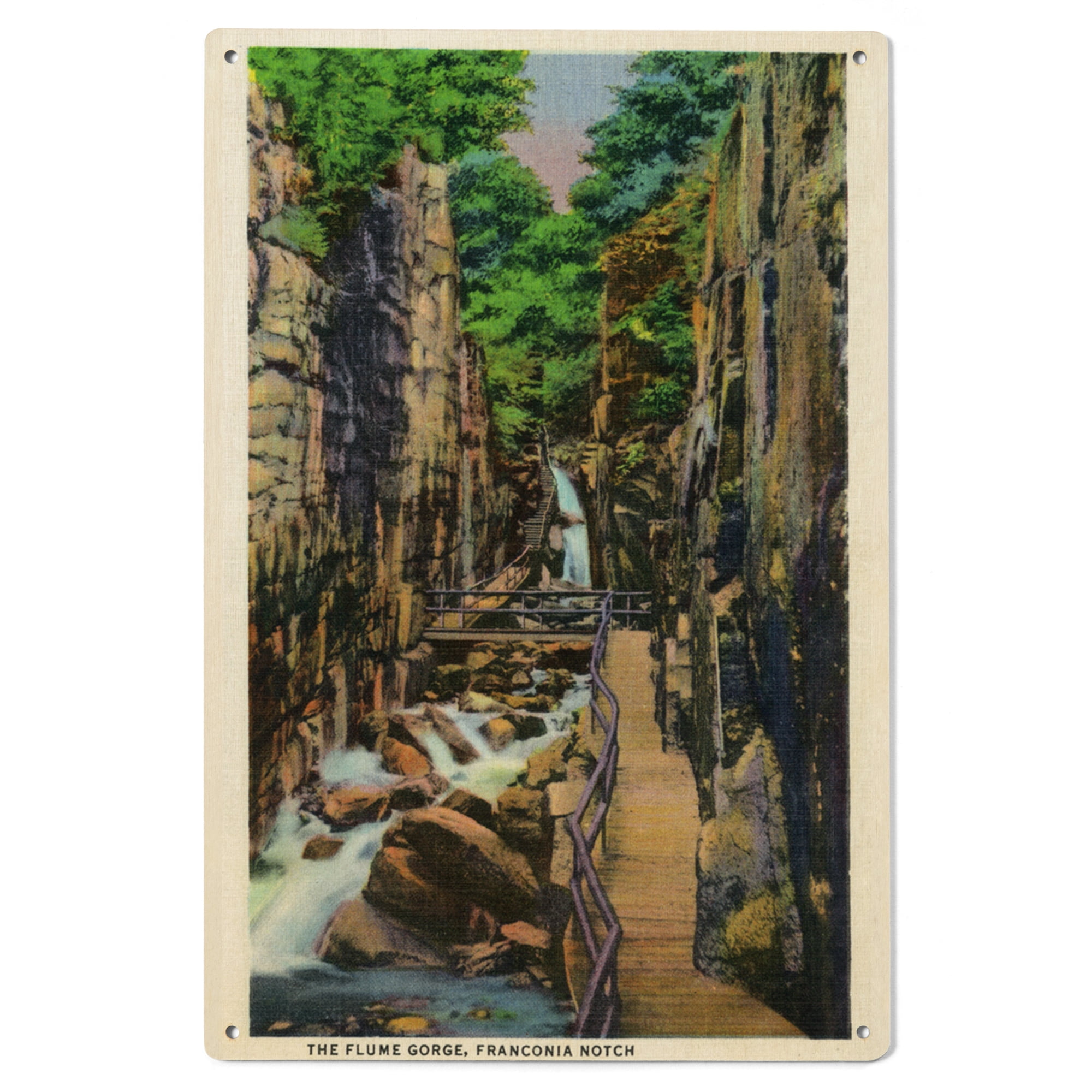 New Hampshire, Franconia Notch State Park View of the Flume Gorge Birch ...