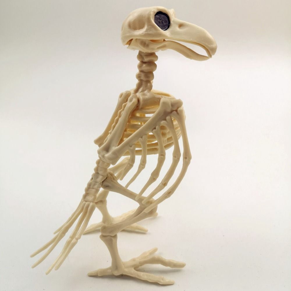 New Horror Halloween Prop Crazy Crow Skeleton Halloween Decoration ...