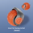 New Interactive Cat Toys Ball Auto Electric Rolling Ball Toys for Cat ...