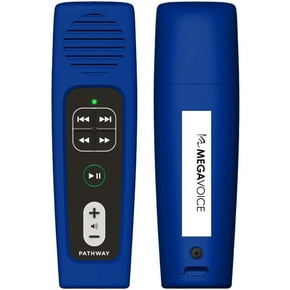 Handheld Electronic Bible