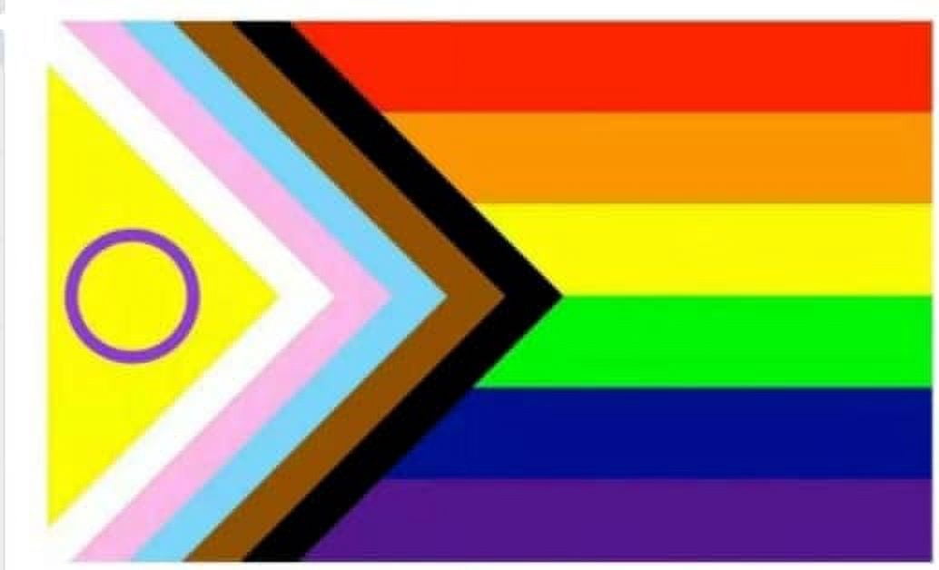 New Intersex-Inclusive Progress Pride Flag 3x5 Outdoor LGBTQ Rainbow ...