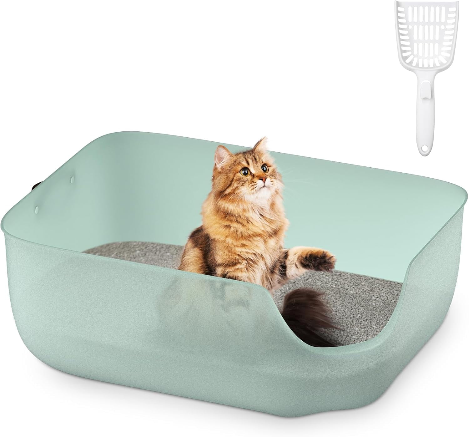 New Jumbo Open Cat Litter Pan - Plastic Tray with Leather Handle | High ...