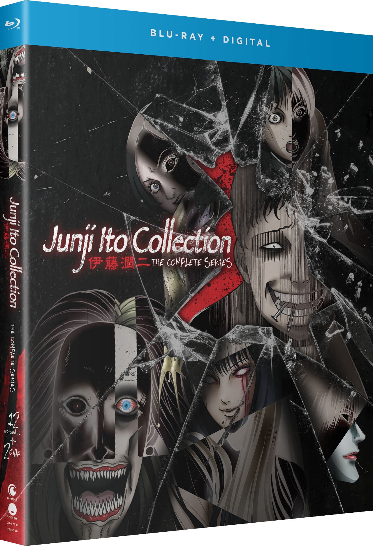 New Junji Ito Collection: The Complete Series (Blu-ray) - Walmart.com
