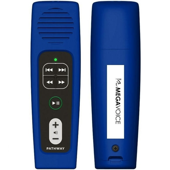 Handheld Electronic Bible