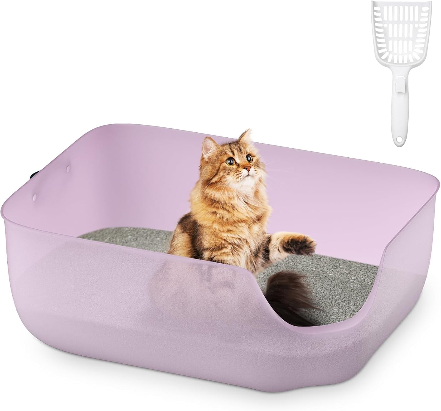 New Large Cat Litter Box, High Sided Litter Box for Big Cats with ...