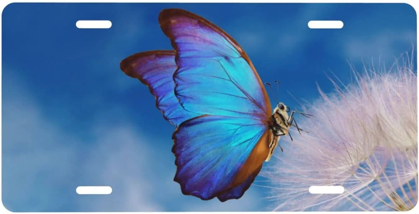 New License Plate 70s Retro Floral Decorative Car Front Metal Car Plate ...